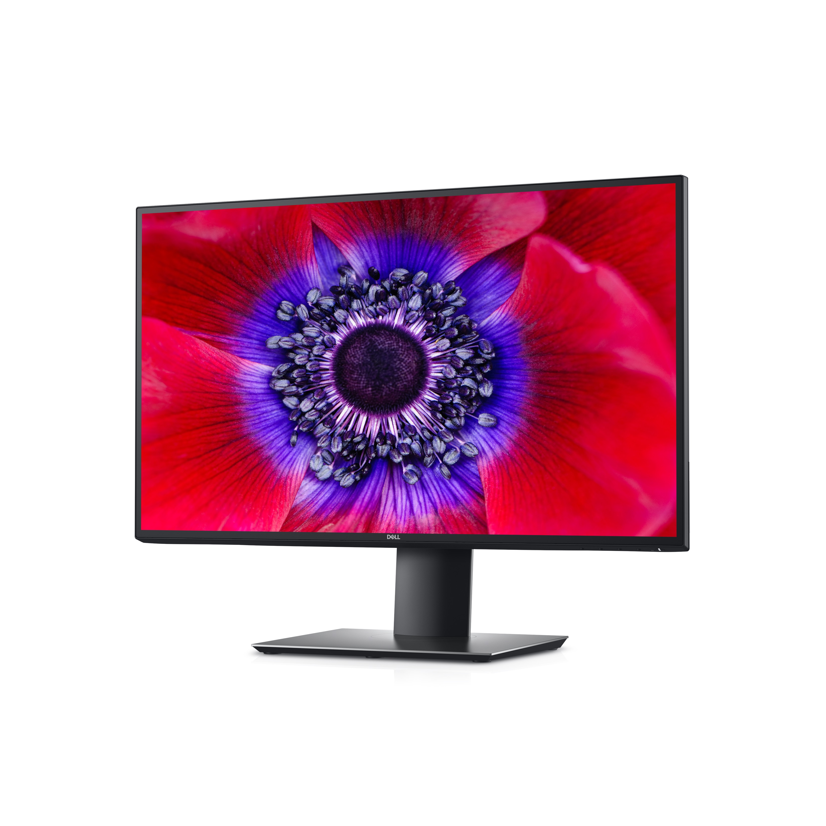 Dell UltraSharp U2520D: características, especificaciones y precios ...